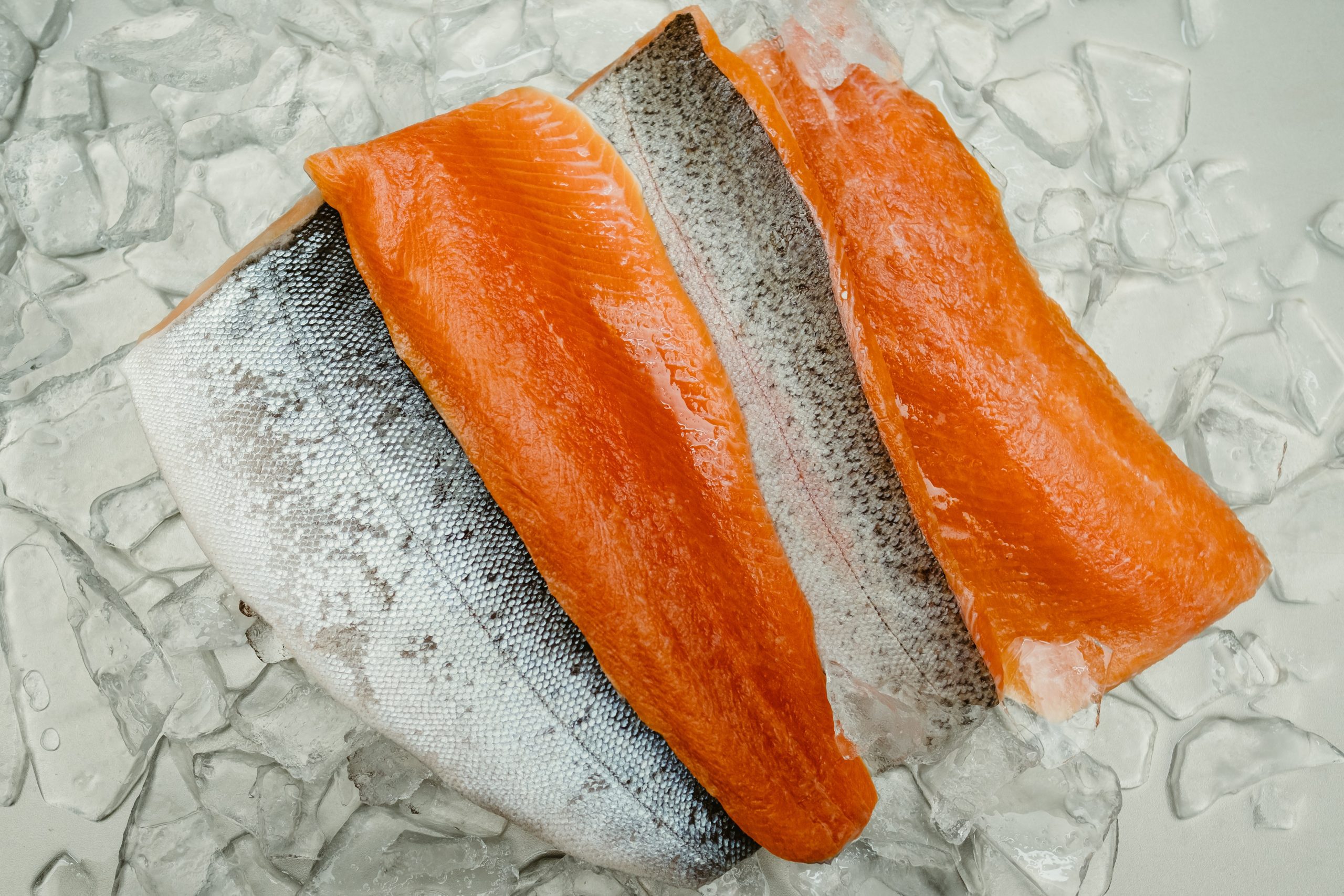 exports – Riverpez